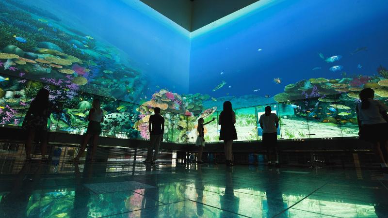 Must-Try Science Activities in Brisbane [2025]