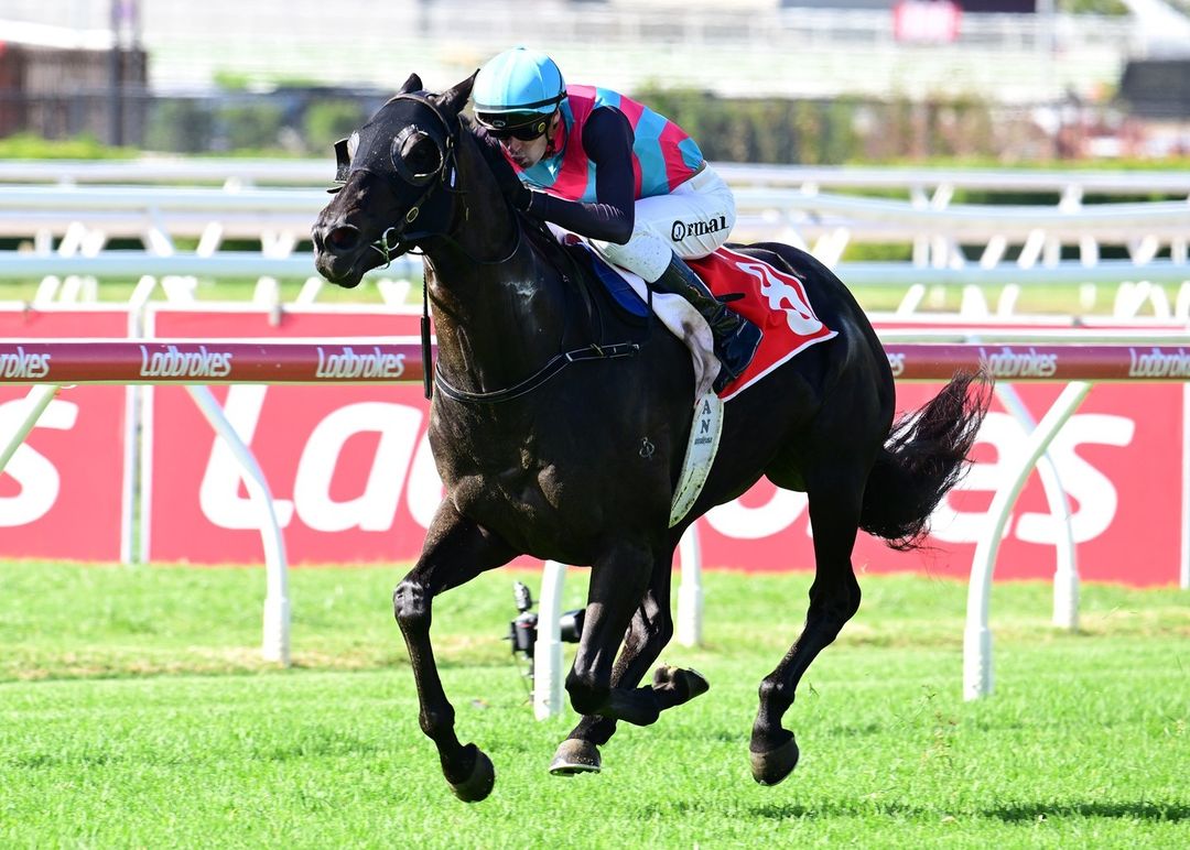 Things to Know About Eagle Farm in Brisbane [2026]
