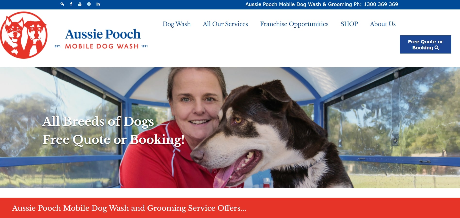 Top 5 Mobile Dog Grooming Services in Brisbane - A Review [2026]