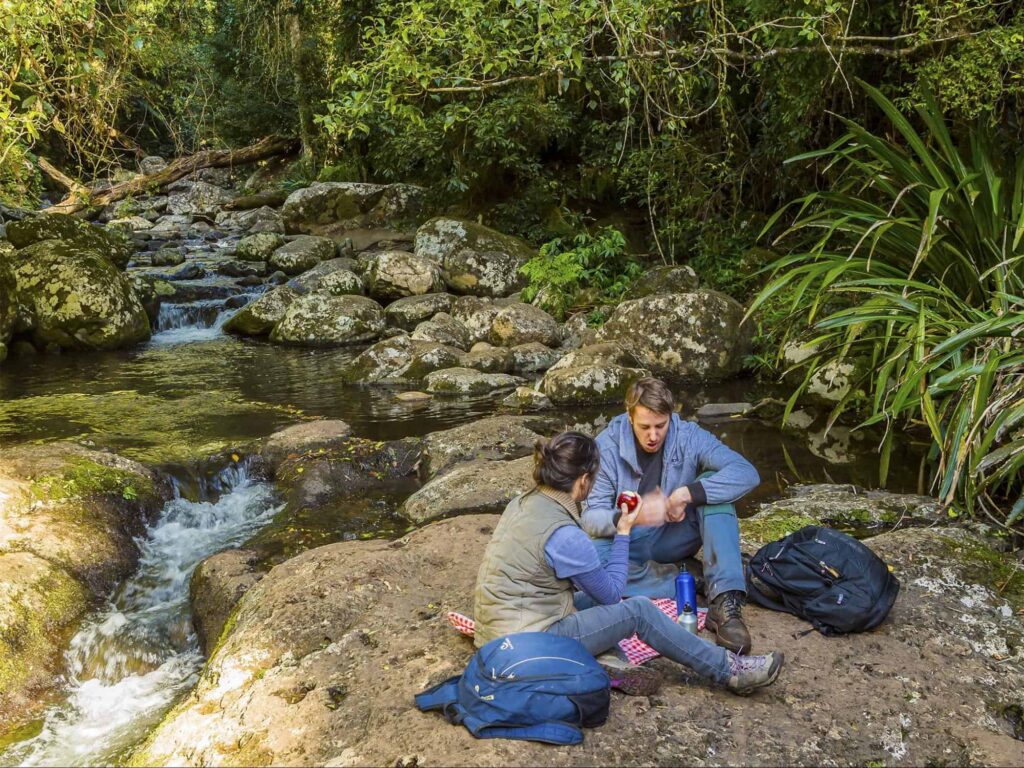 Eco Experiences in Brisbane: Must-Do List [2025]
