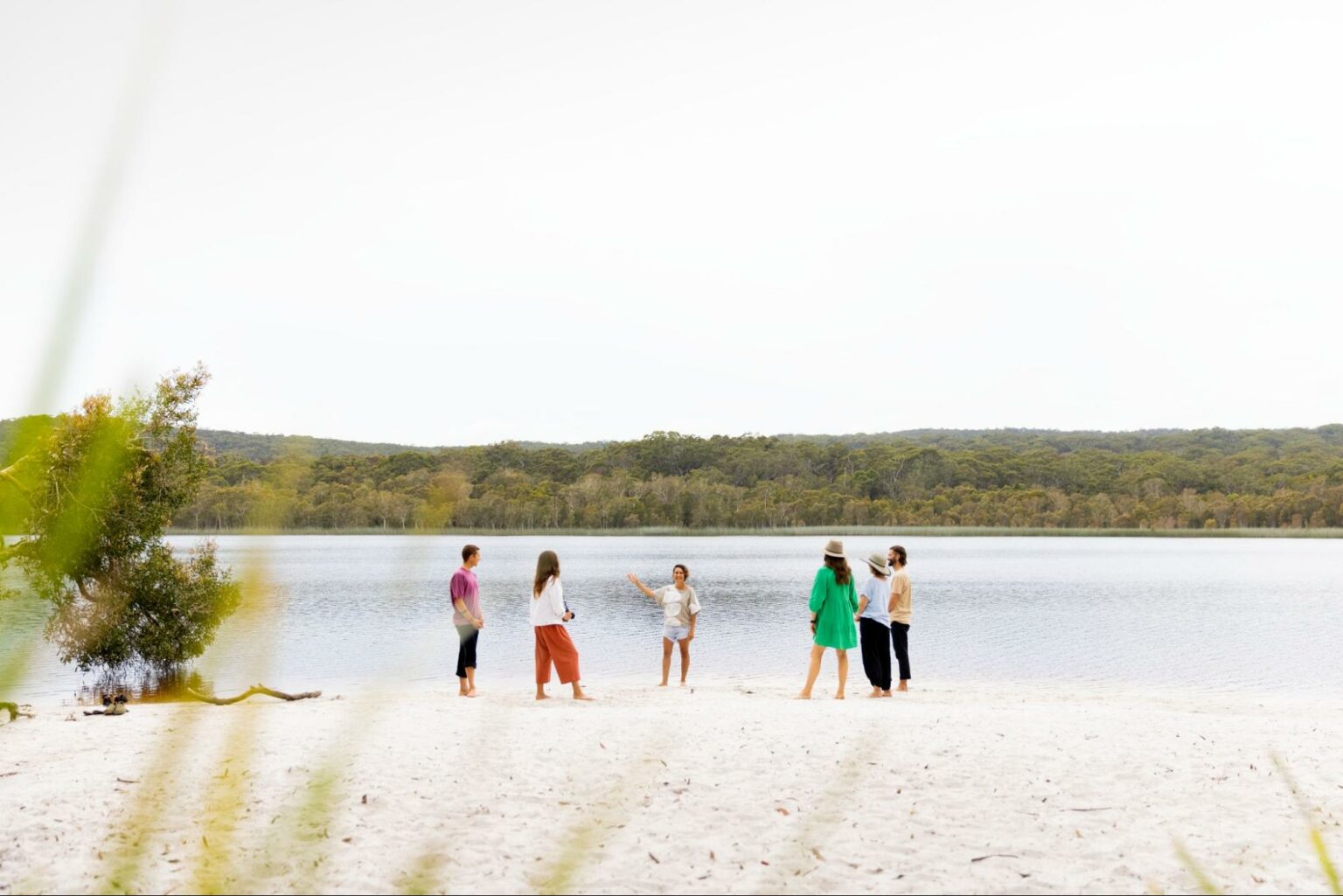 Top Indigenous Tours in Brisbane That Are Worth Exploring [2025]