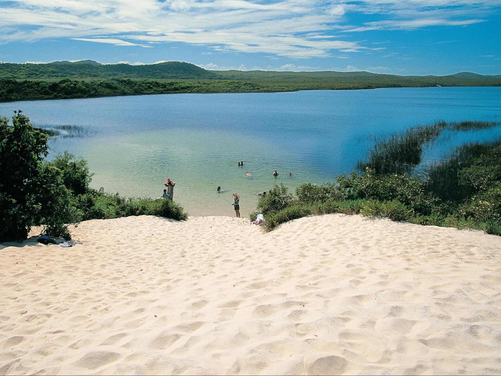 A Waterside Wonderland: Exploring Scenic Lakes in Brisbane [2025]