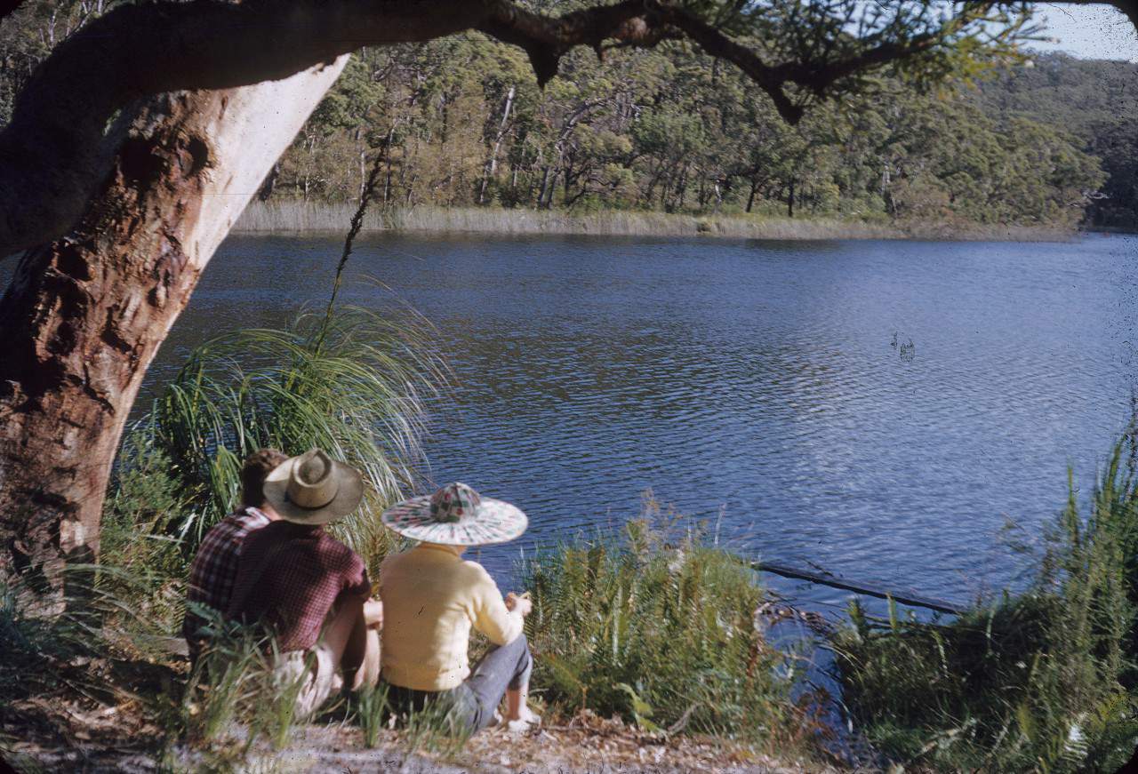 A Waterside Wonderland: Exploring Scenic Lakes in Brisbane [2025]