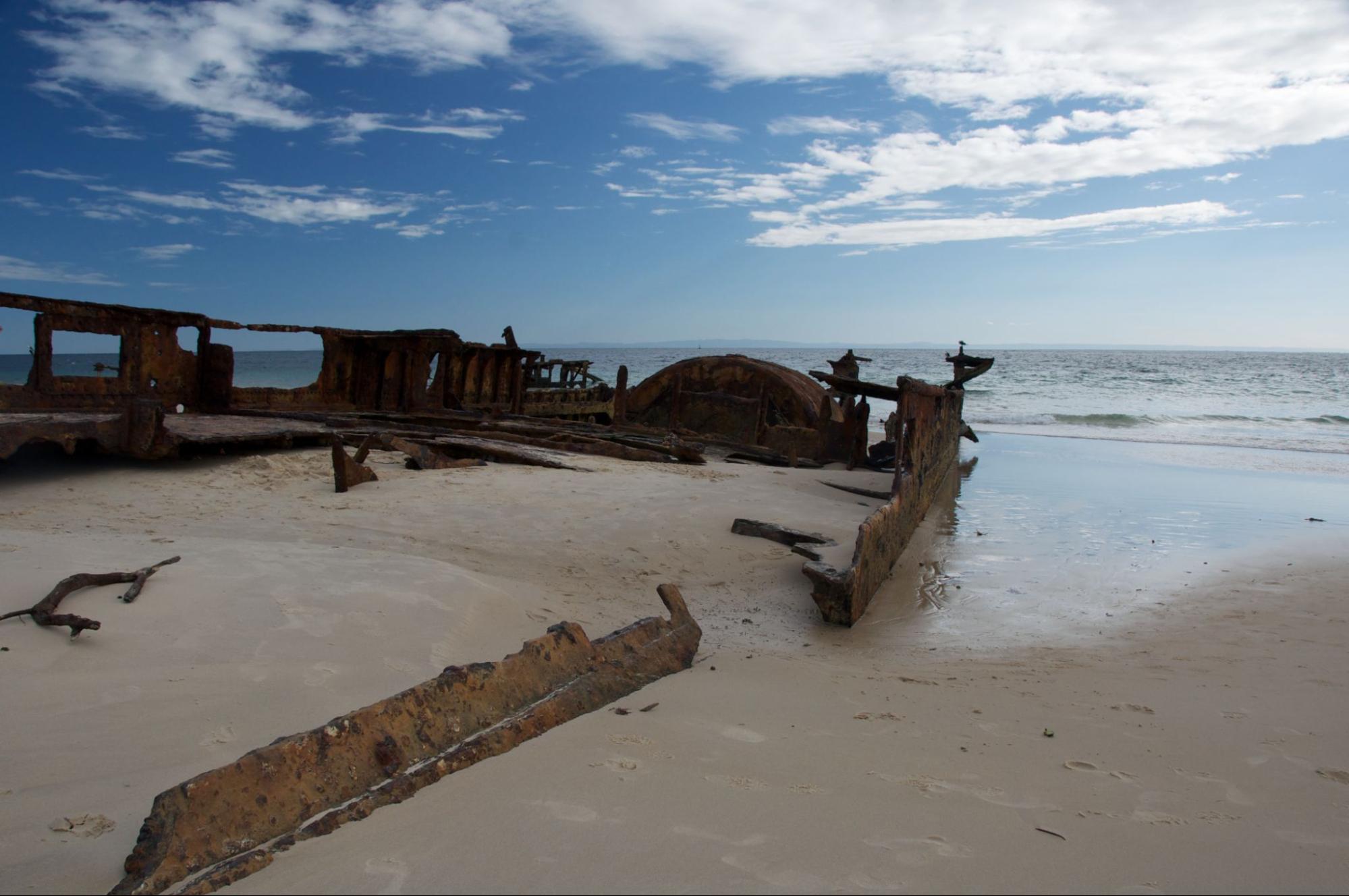 Coastal Delights: Unveiling the Best Brisbane Beaches [2025]