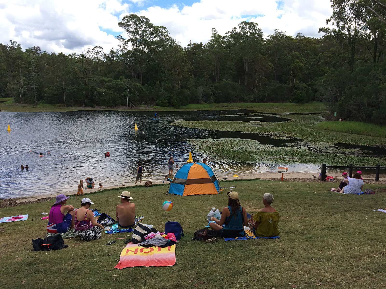 A Waterside Wonderland: Exploring Scenic Lakes in Brisbane [2025]