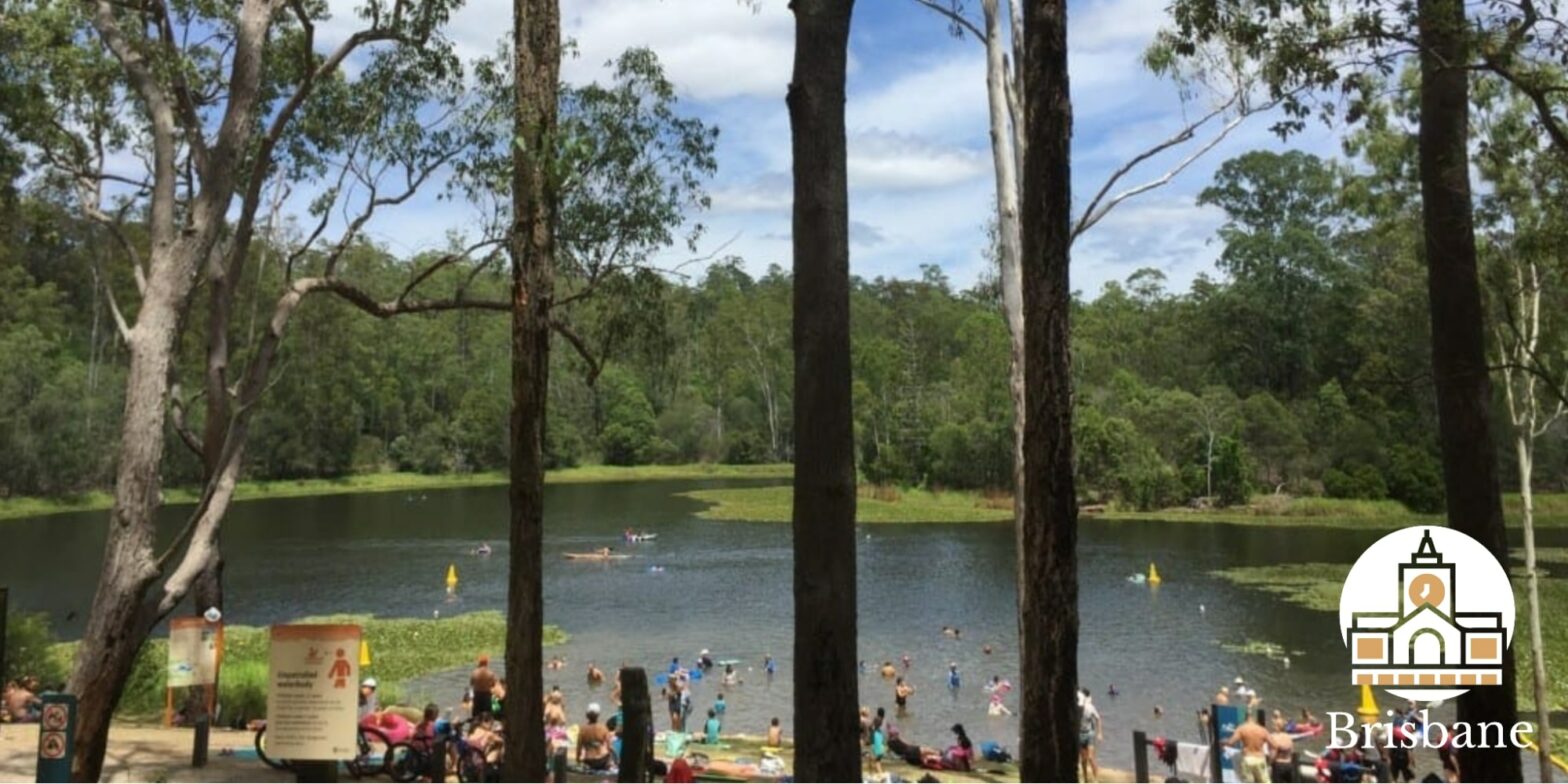A Step Into Nature at the Enoggera Reservoir: A Travel Guide [2025]