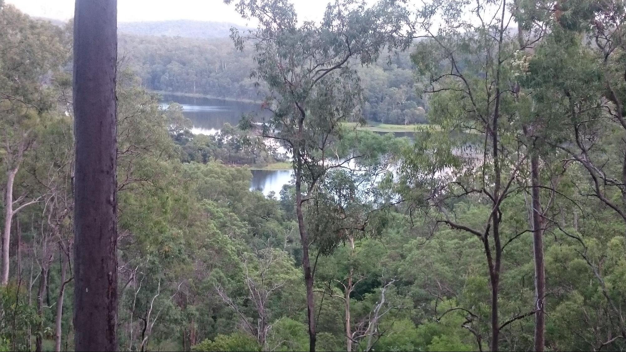 A Step Into Nature at the Enoggera Reservoir: A Travel Guide [2025]