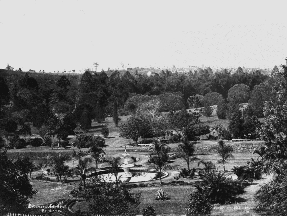 All You NEED to Know About Brisbane's City Botanic Gardens [2025]