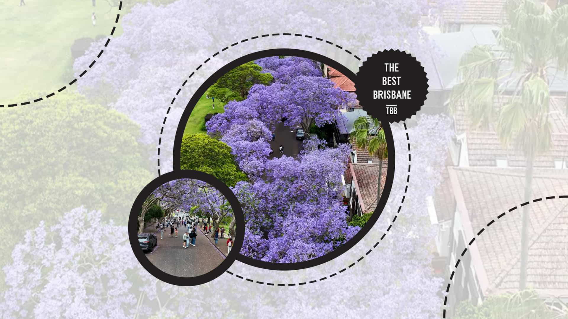 Get dazzled with picturesque jacarandas during Brisbane’s Purple Spring!