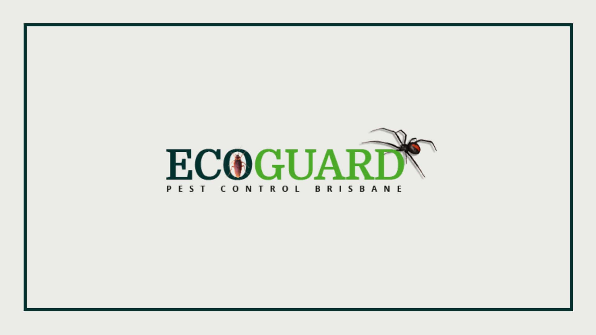 5 Mosquito Control Services in Brisbane For A Safer Home [2026]
