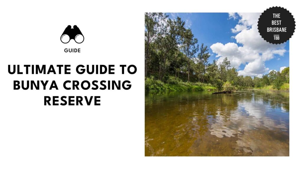 Make Market Day an Adventure at the Scenic Rim Farm Gate Trail [2026]